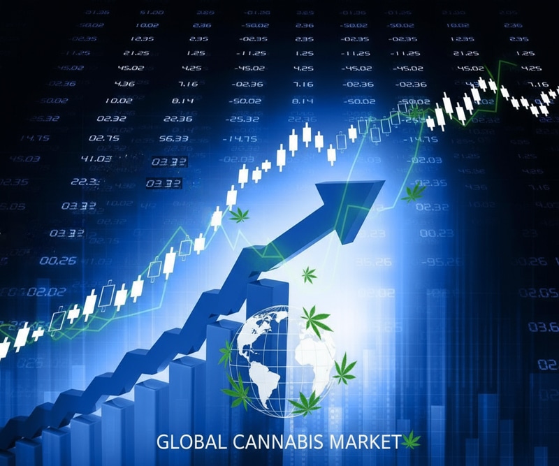 Greenlife Business Group Goes International